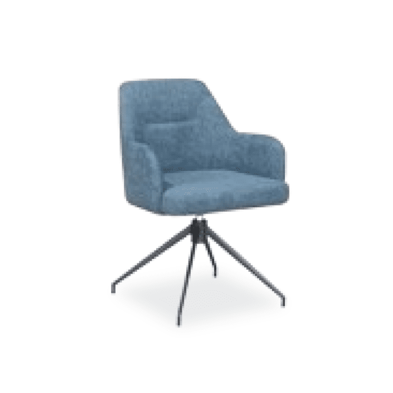 NY-B481 Dining Chair - Enzol